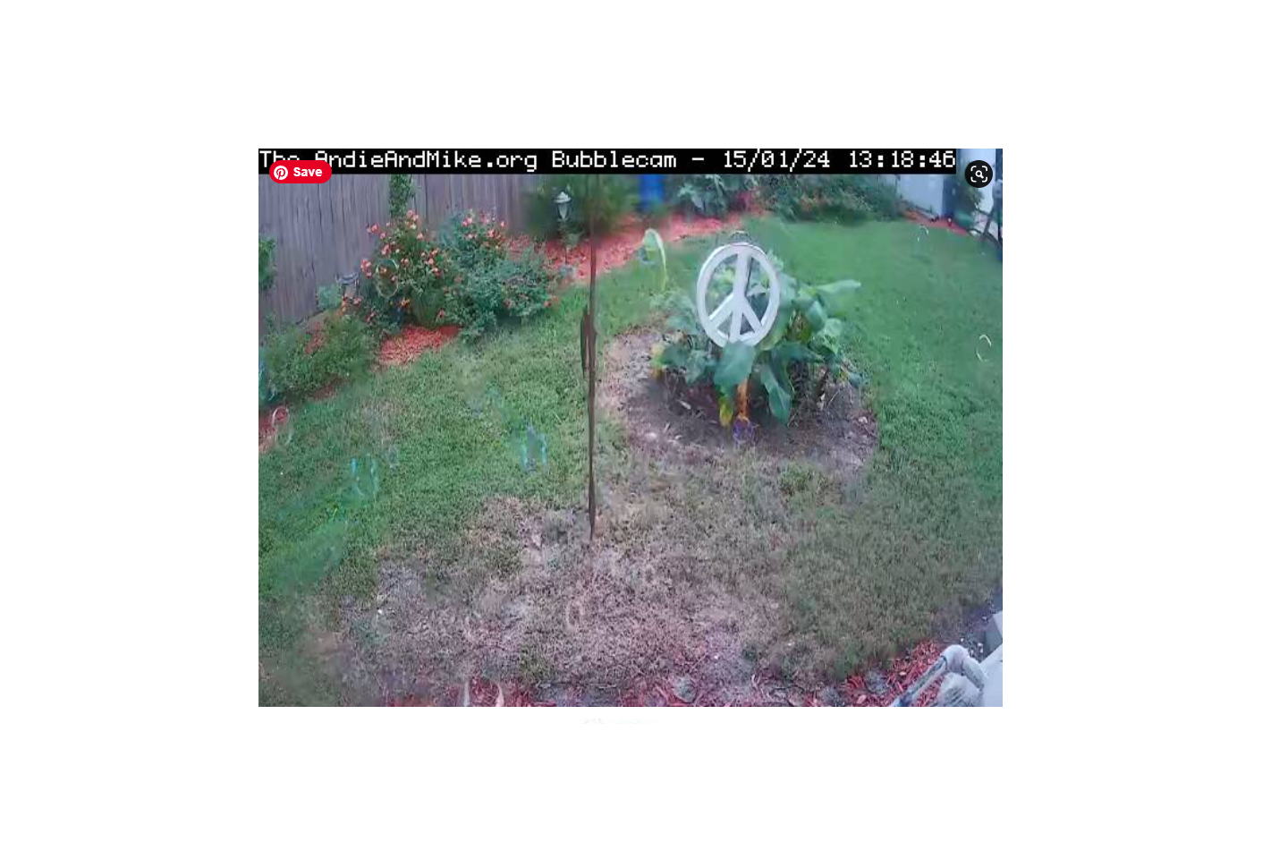 Bubbles! – Fugitive Gift Registry